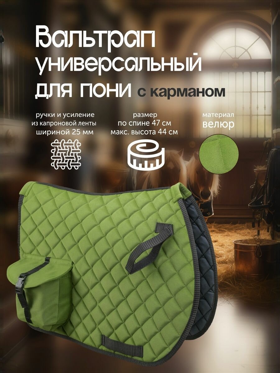 Вальтрап Reiter, велюровый, с карманом, для пони, спортивный, светло-зелёный
