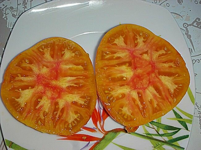 Коллекционные семена томата Район Святого Жана Де Борегард