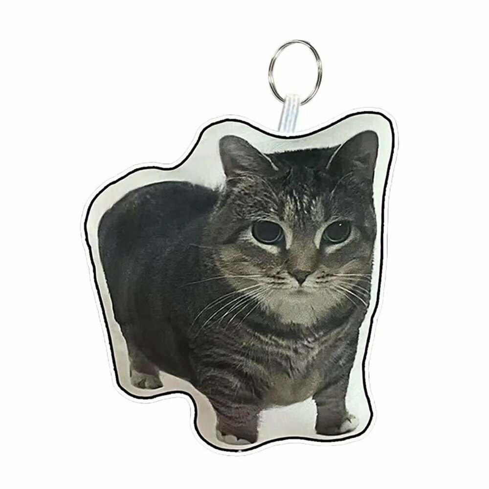 Мягкая игрушка, котик / oiia cat