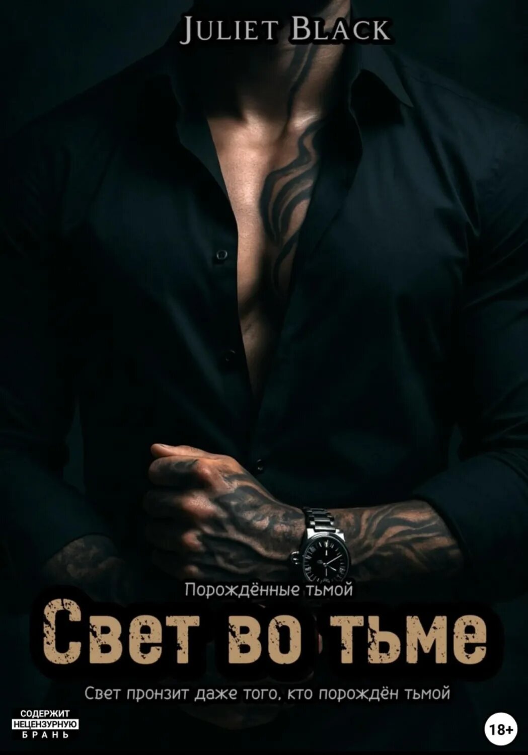 Свет во тьме [Цифровая книга]