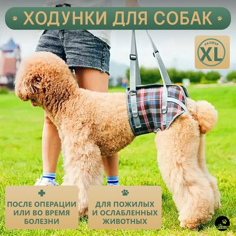 Ходунки для собак. Задняя часть, Ходунки для собак. Задняя часть, размер XL.