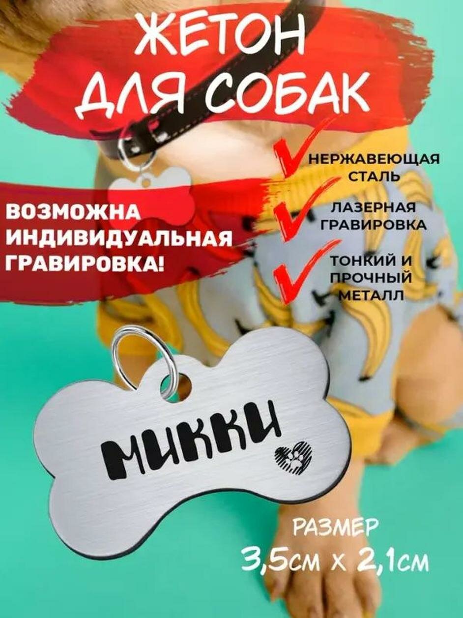 Адресник для собаки с гравировкой, нерж. сталь, серебристый, Микки