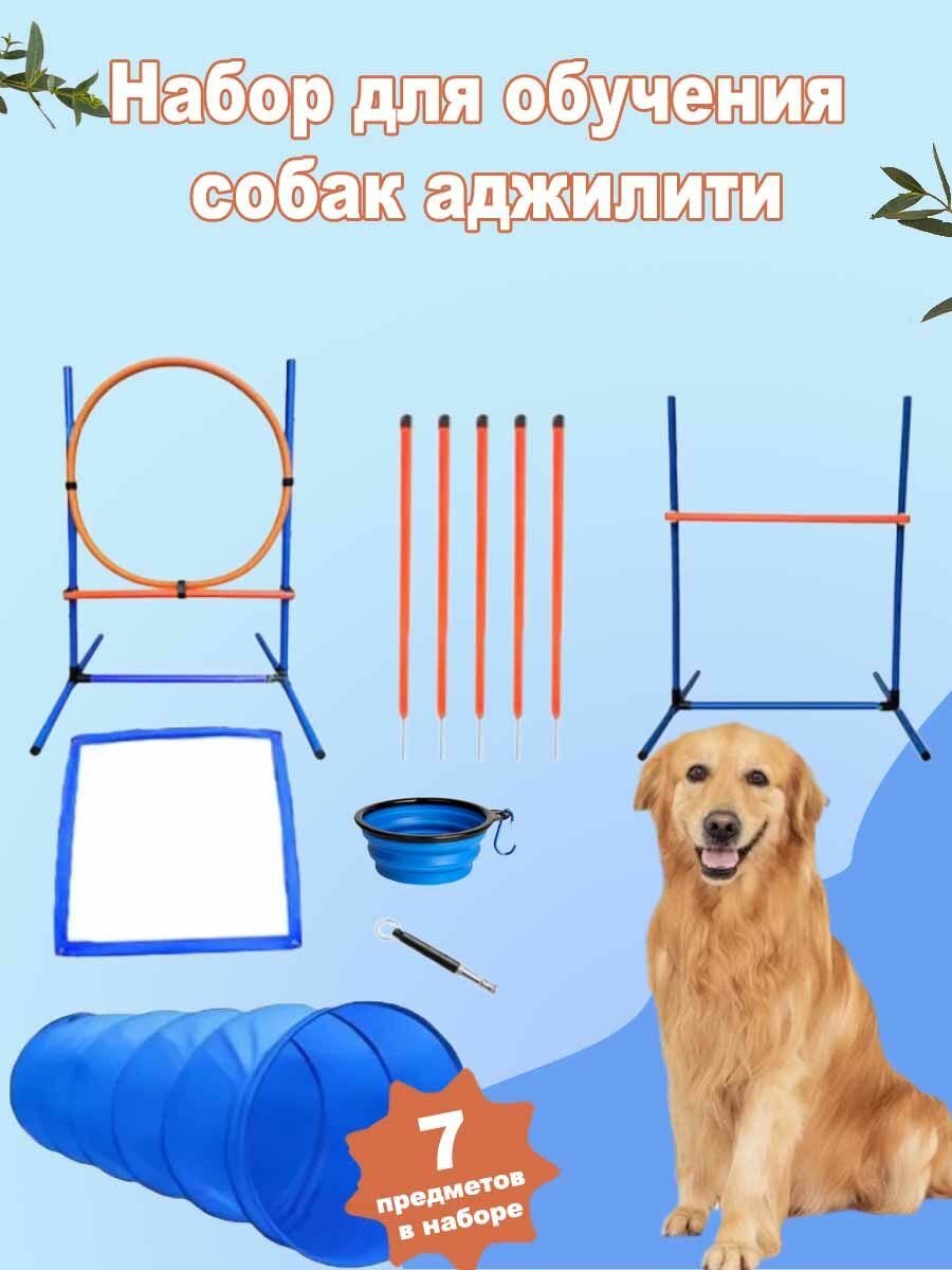 Набор для аджилити для собак тоннель, барьеры, обручи, комплект для дрессировки и тренировок