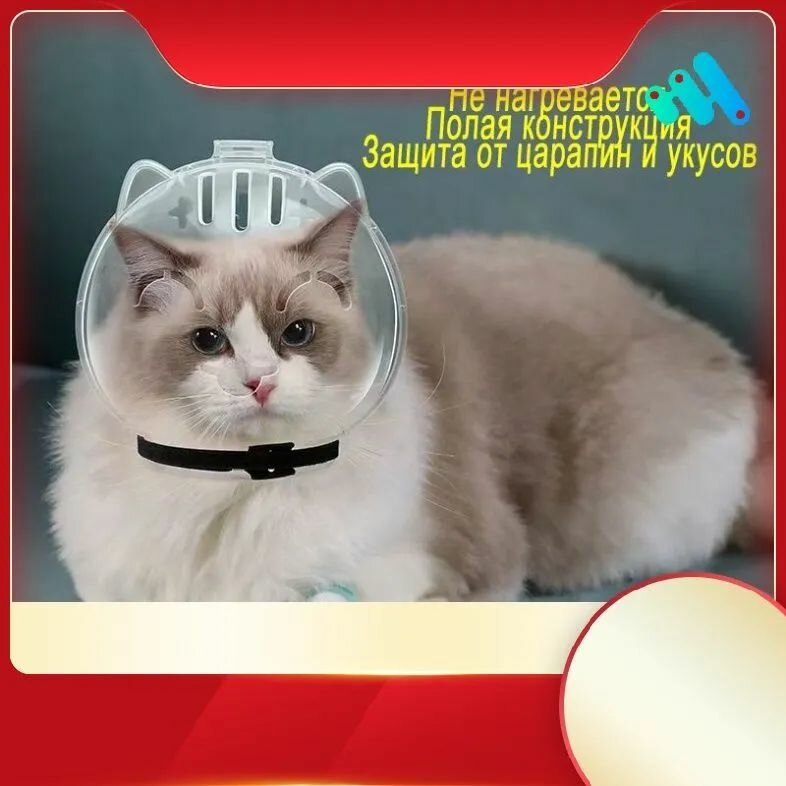 Эксклюзивный прозрачный пластиковый купол для защиты от укусов, круглый шлем для груминга и дышащий намордник на голову кошки