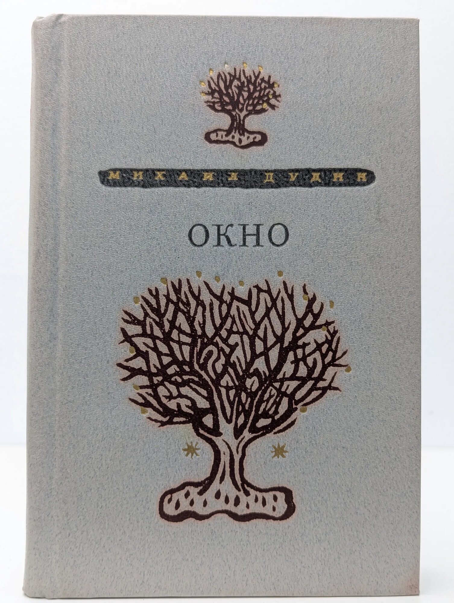 Окно Дудин Михаил Александрович 1981