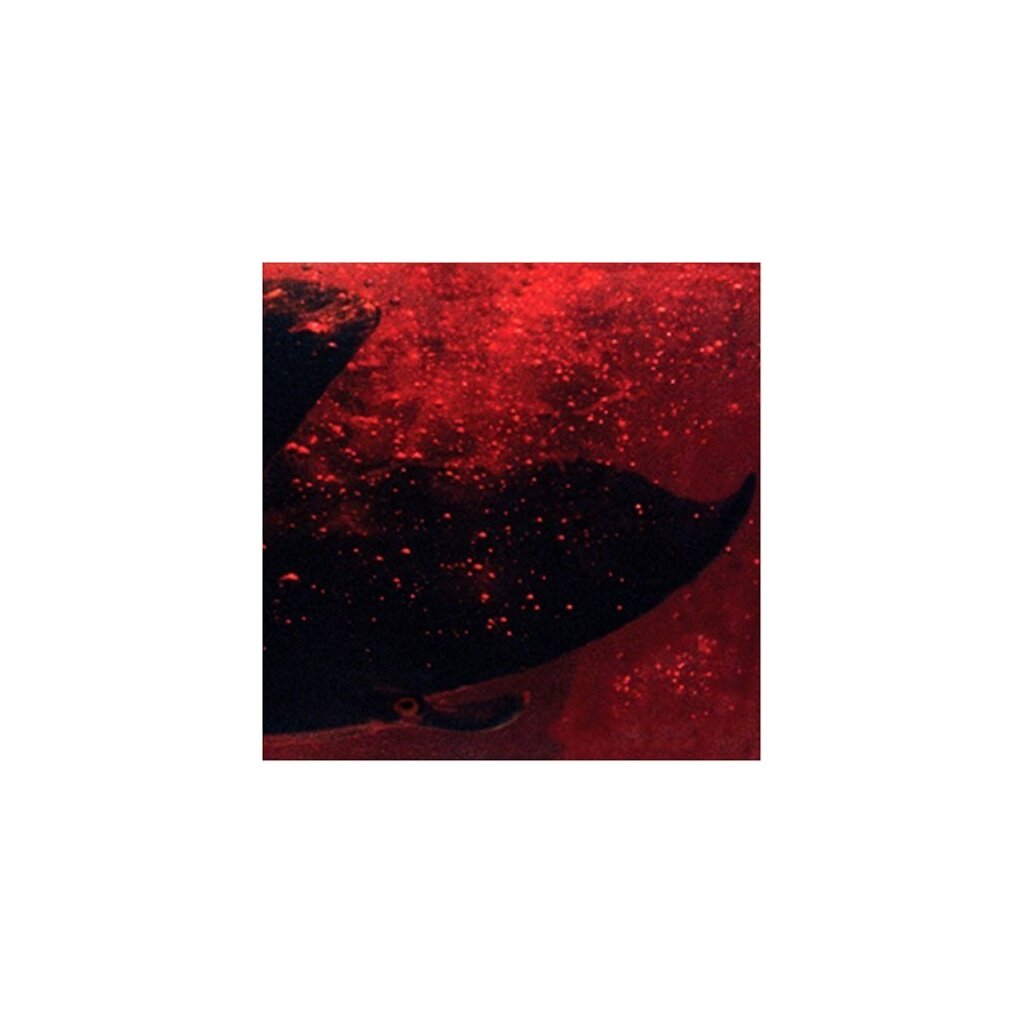 Диск Blind Cave Salamander - Blind Cave Salamander (1 CD)