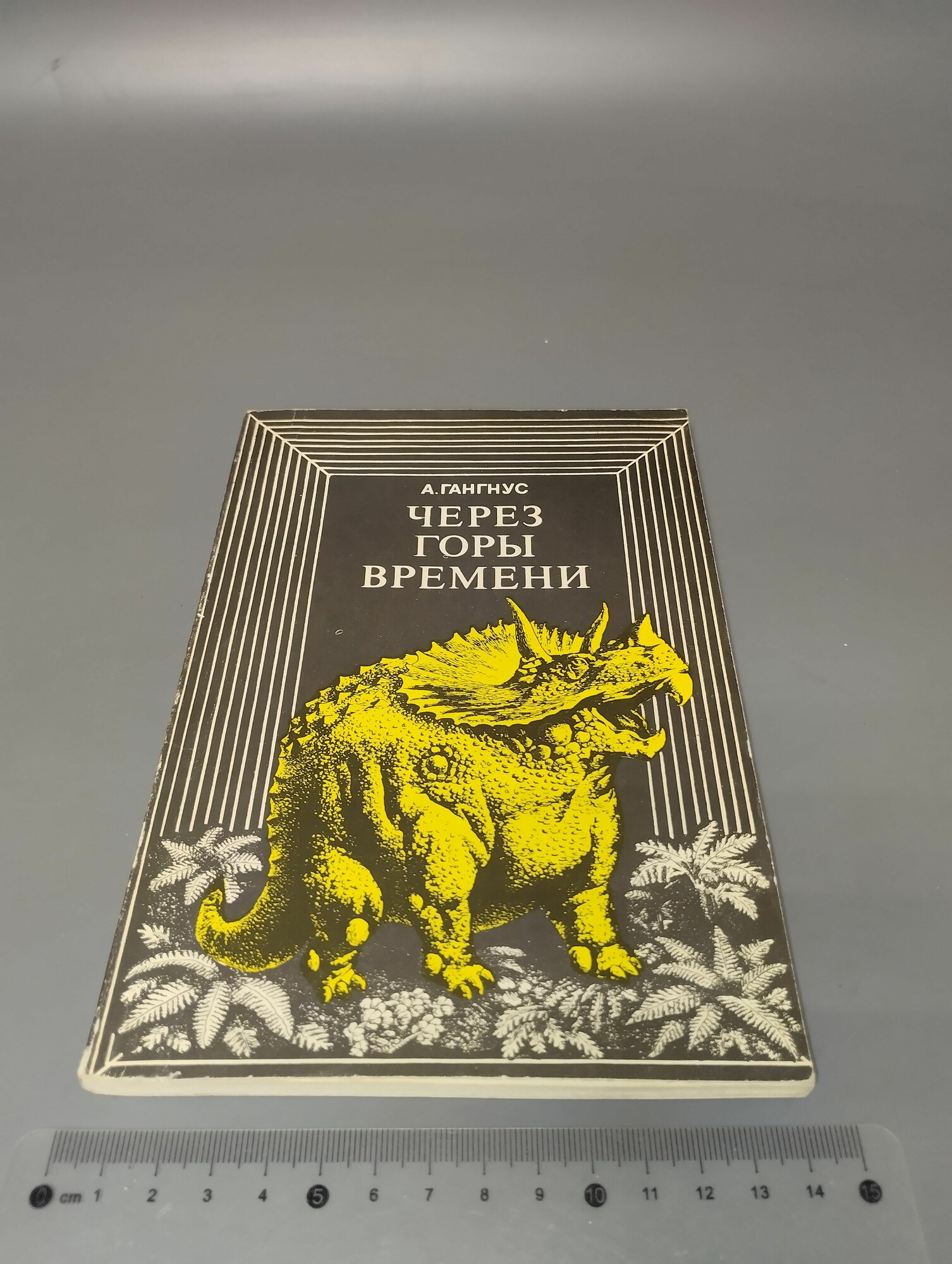 Через горы времени. Гангнус Александр Александрович. 1973
