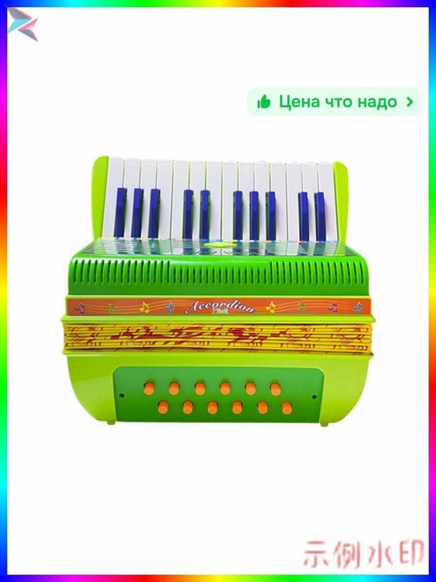Аккордеон для начинающих: приятный звук и экологически чистый материал---6qz