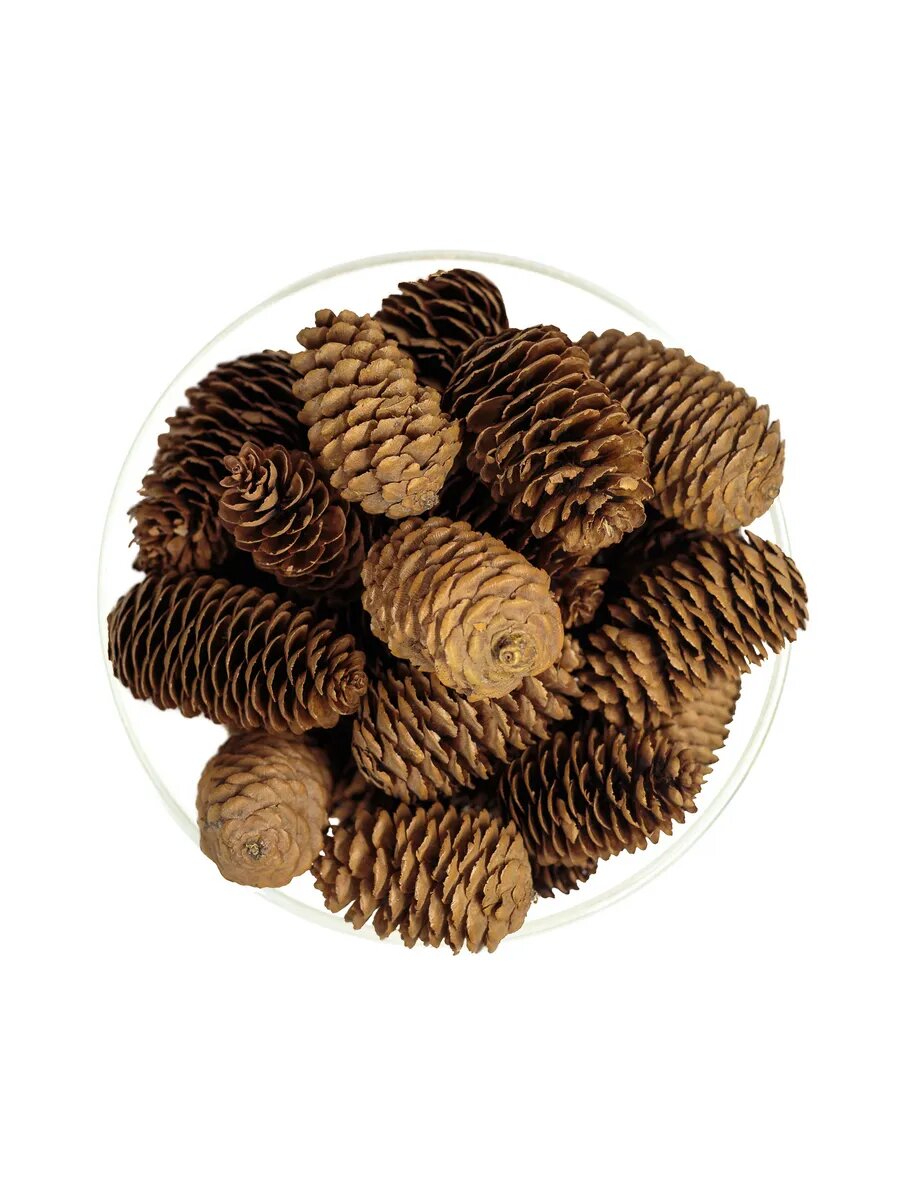 Шишки в ассортименте (250-350гр)