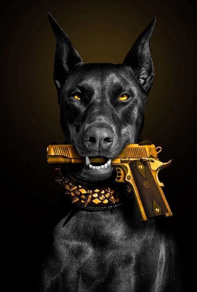 Алмазная Мозаика "Доберман" 40х50 См Алмазная Вышивка / Картина Стразами Подарков / Украшения