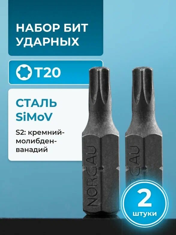 Набор бит 2 шт Torx T20 NORGAU Industrial из высокопрочной SiMoV стали S2, под шестигранник 1/4"
