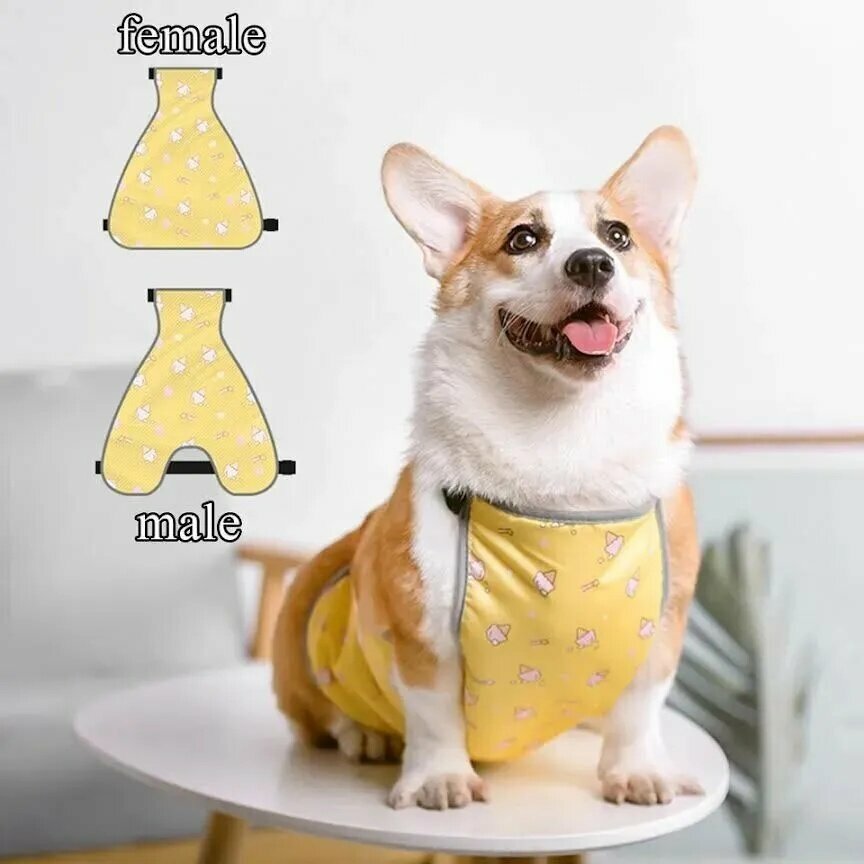 Фартук-жилет для собак непромокаемый, размер M