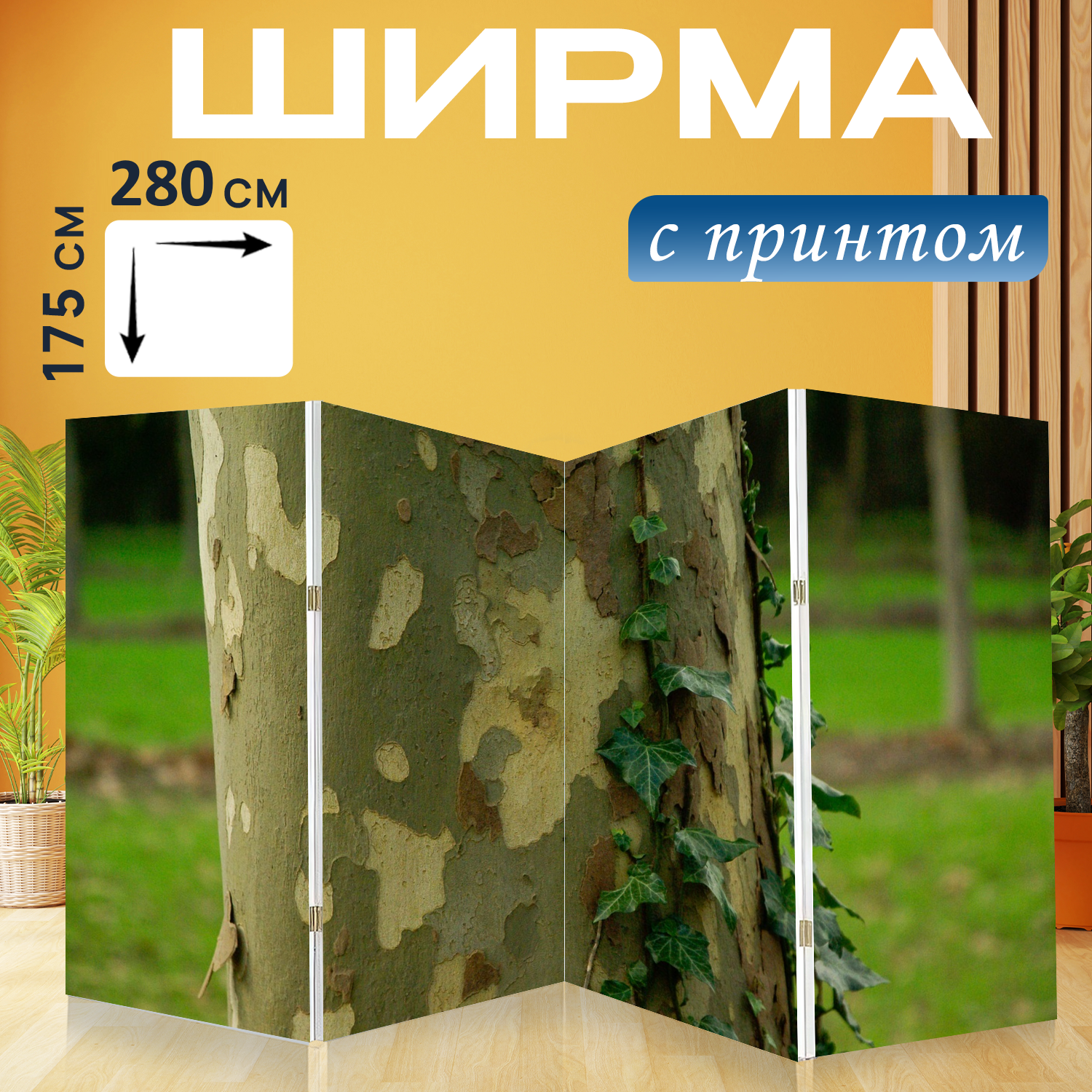 Ширма "Платан, кора, ствол дерева" перегородка для зонирования комнаты с принтом 280x175 см. на холсте