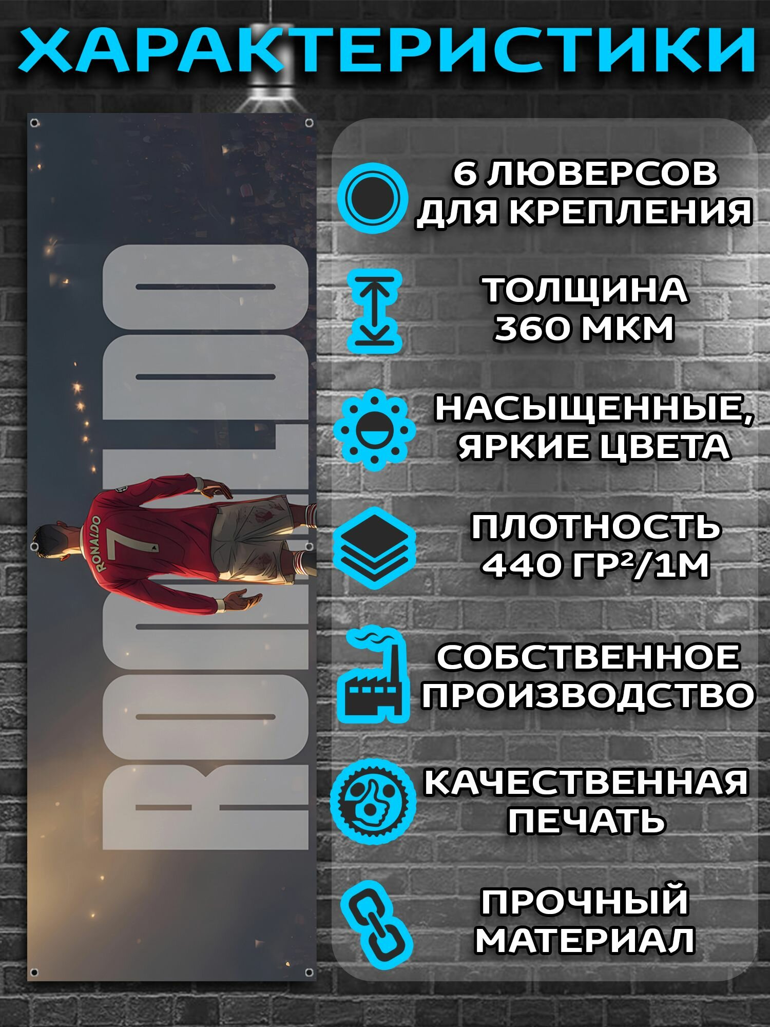 Баннер интерьерный на стену постер 150х50 — фото 1