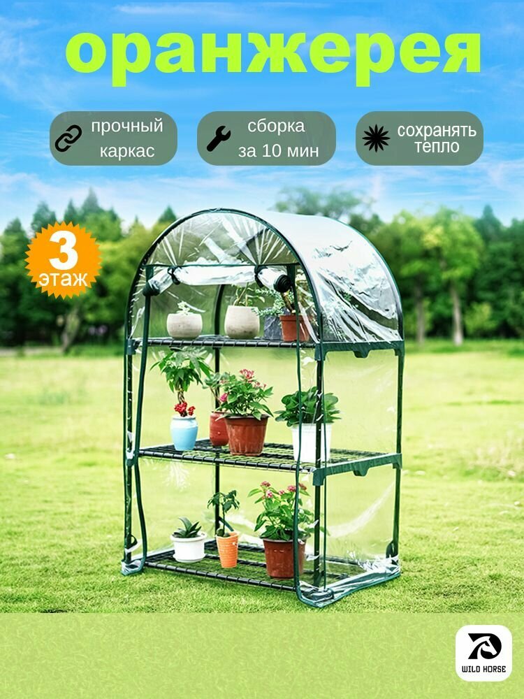 Парник, теплица