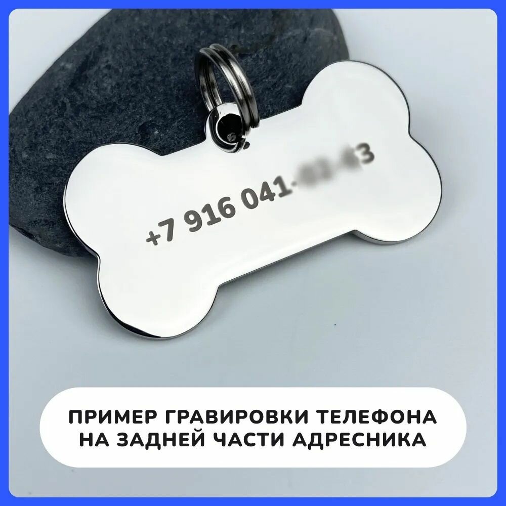 Адресник для собак с гравировкой и регулируемым шнурком, косточка, нержавеющая сталь гравировка нержавейка косточка
