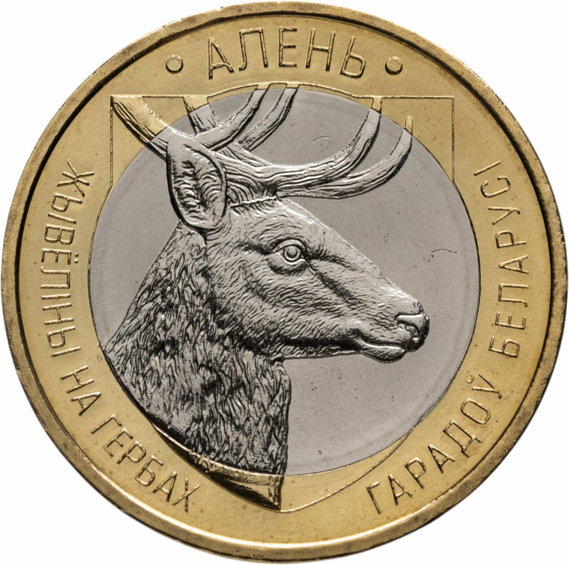 Беларусь 2 рубля 2021 Животный мир на гербах городов Беларуси - Олень, в буклете, Биметалл, в сохранности BUNC