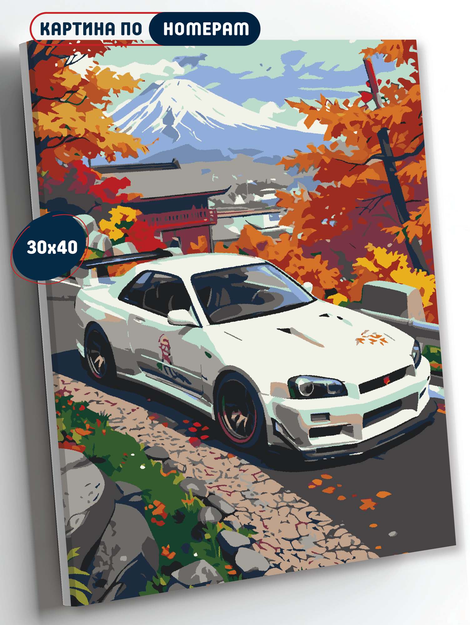 Картина по номерам " Nissan Skyline №2", Холст на подрамнике 30х40