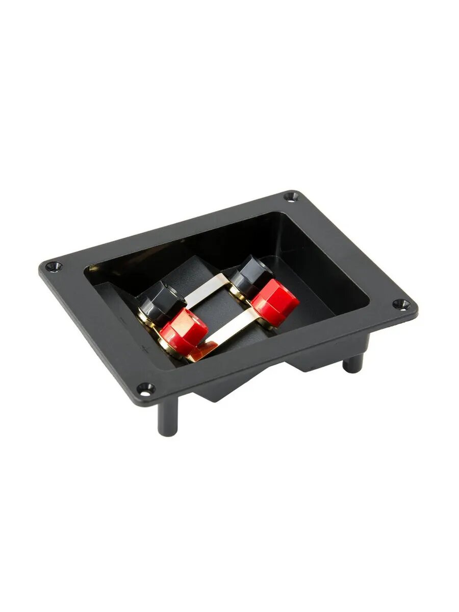 Терминал аудио AURA