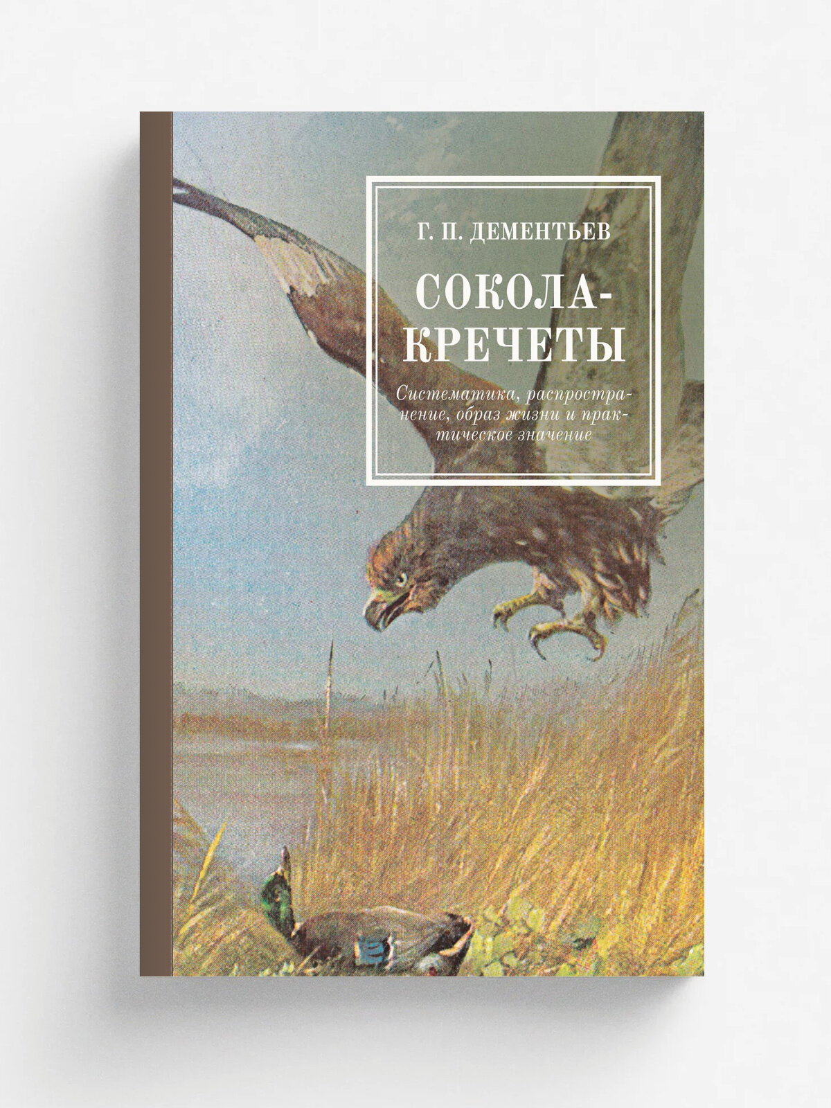 Сокола-кречеты