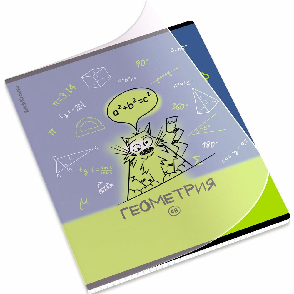 Тетрадь Erich Krause 48 листов, в клетку, "Котоформулы, Геометрия"