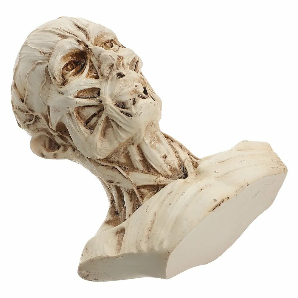 Модель головы черепа из смолы бежевого цвета для декора и рисования