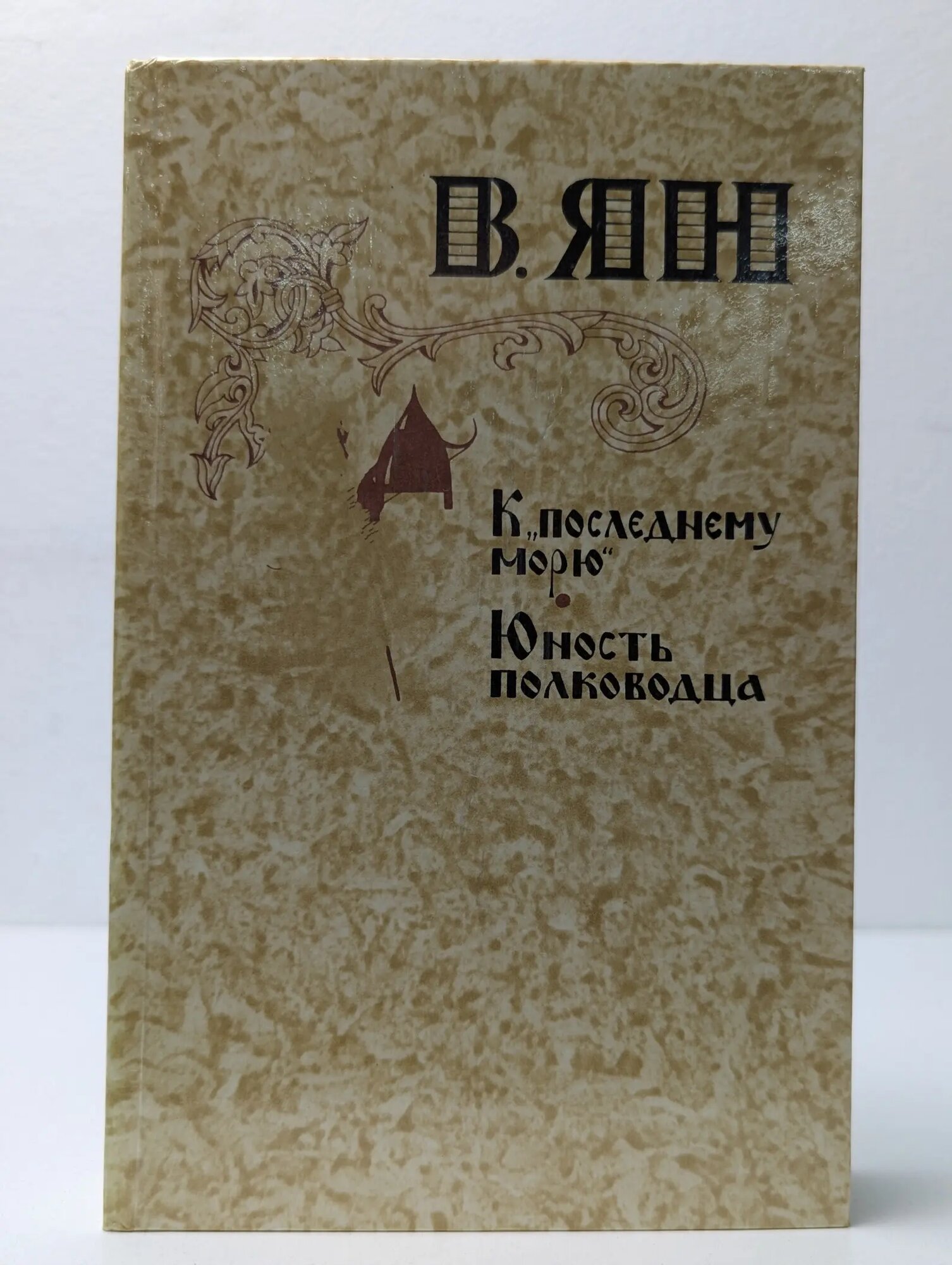 К "последнему морю". Юность полководца Василий Ян Григорьевич 1981