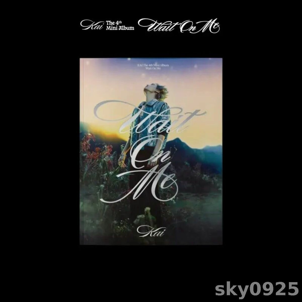 KAI - WAIT ON ME 4-й мини-альбом PHOTOBOOK, DRIVER