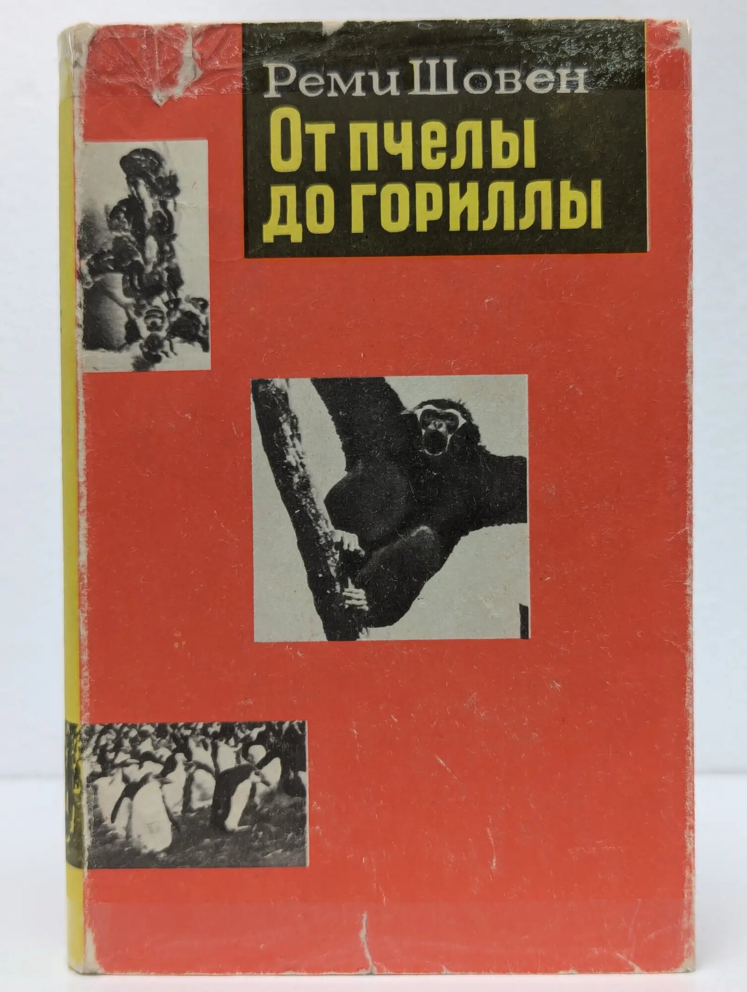 От пчелы до гориллы Шовен Реми 1965