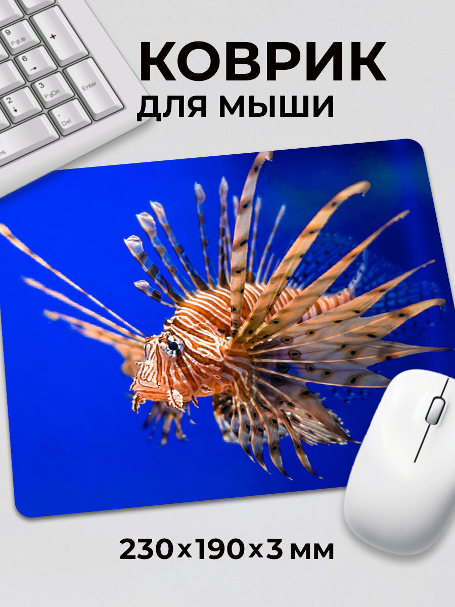 Коврик для мышки игровой маленький рыба Крылатка-зебра c тканевой поверхностью, на нескользящем резиновом основании