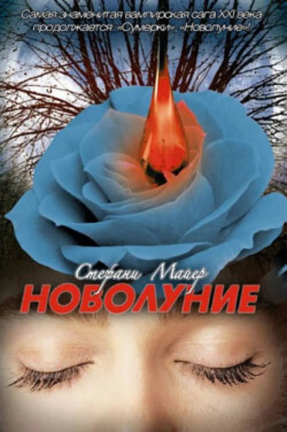 Новолуние [Цифровая книга]