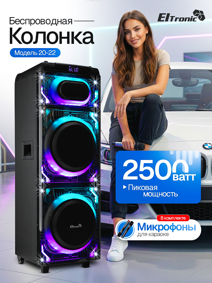 Портативная колонка Eltronic 20-22 SKILLETS BOX, 2 микрофона, 2 динамика,10", 2500Вт, с ТWS
