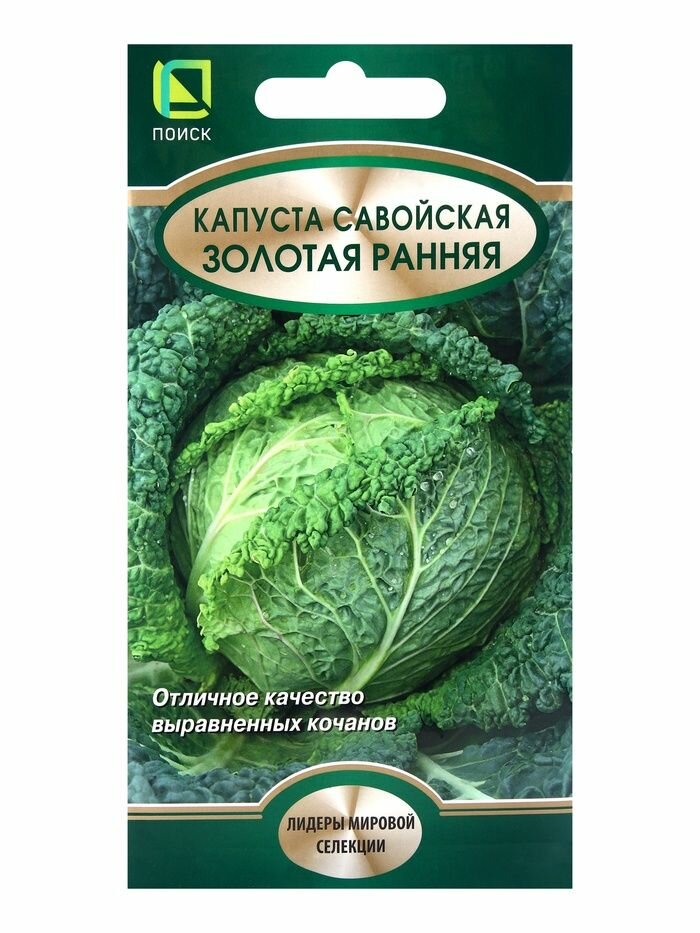 Семена Капуста савойская Золотая ранняя , 0.5 г, Поиск