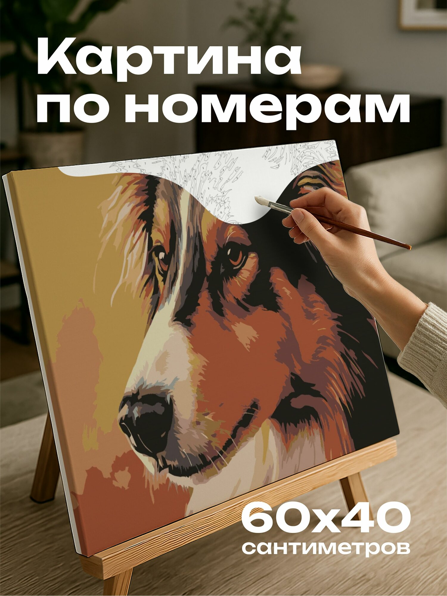 Картина по номерам 60x40 см, Колли, масляная картина, интеллект, преданность, мех, глаза, землистый фон, реализм, 4:3.