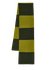 Шарф ЛИНИИ для мужчин и женщин, универсальный, светло-зеленый