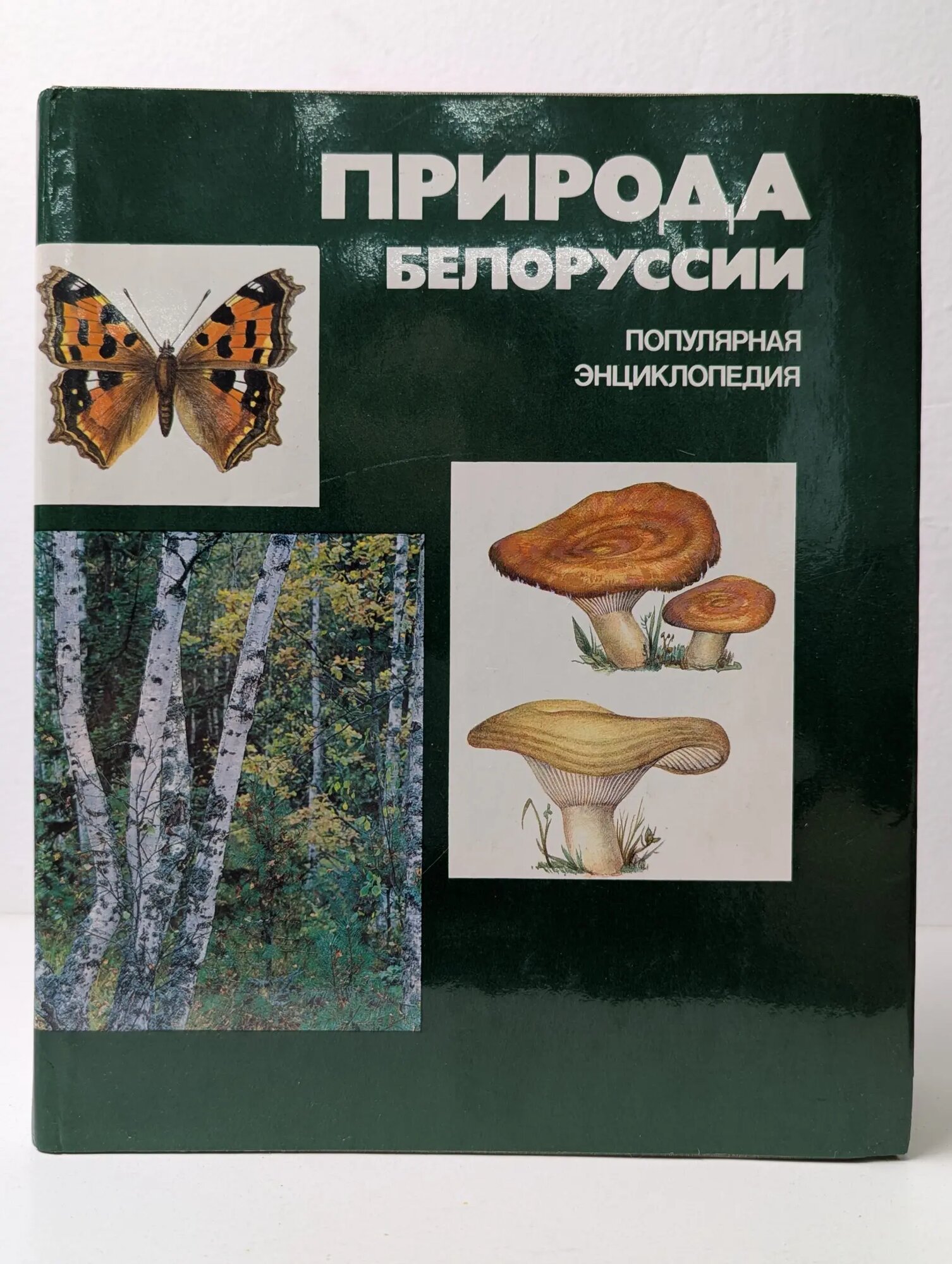 Природа Белоруссии. Популярная энциклопедия Сборник 1989