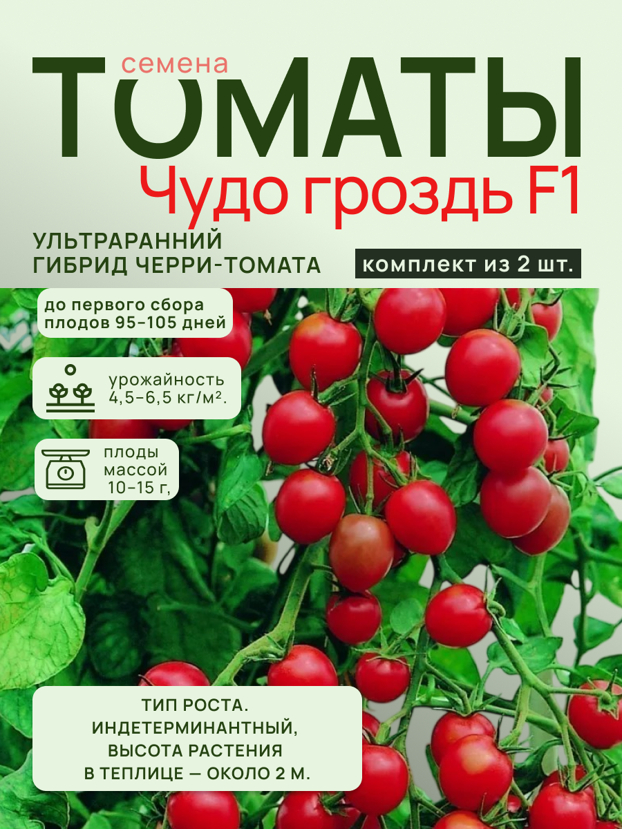 Семена томатов черри сорт Чудо гроздь, для консервирования и салатов, 2 пачки