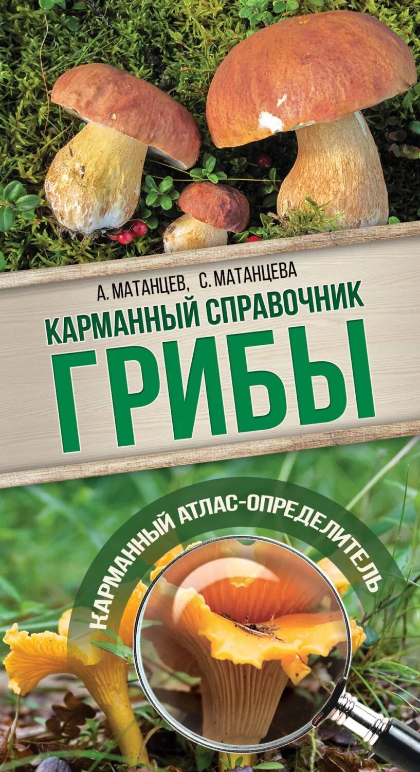 Грибы. Карманный атлас-определитель [Цифровая книга]