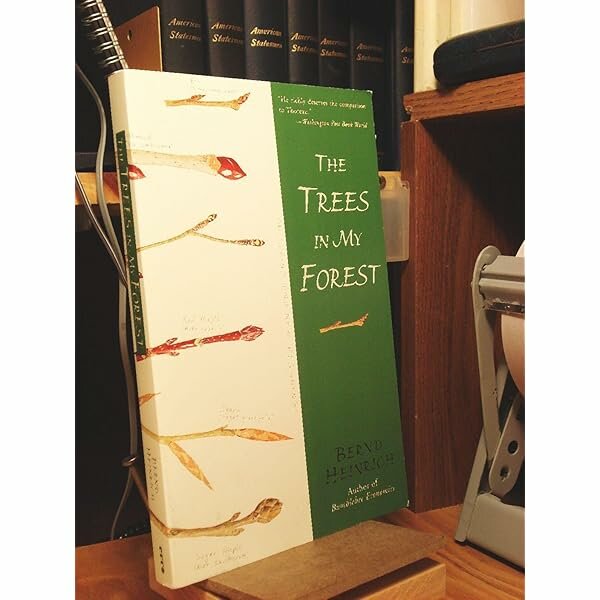 The Trees in My Forest，Reprinted paperback book