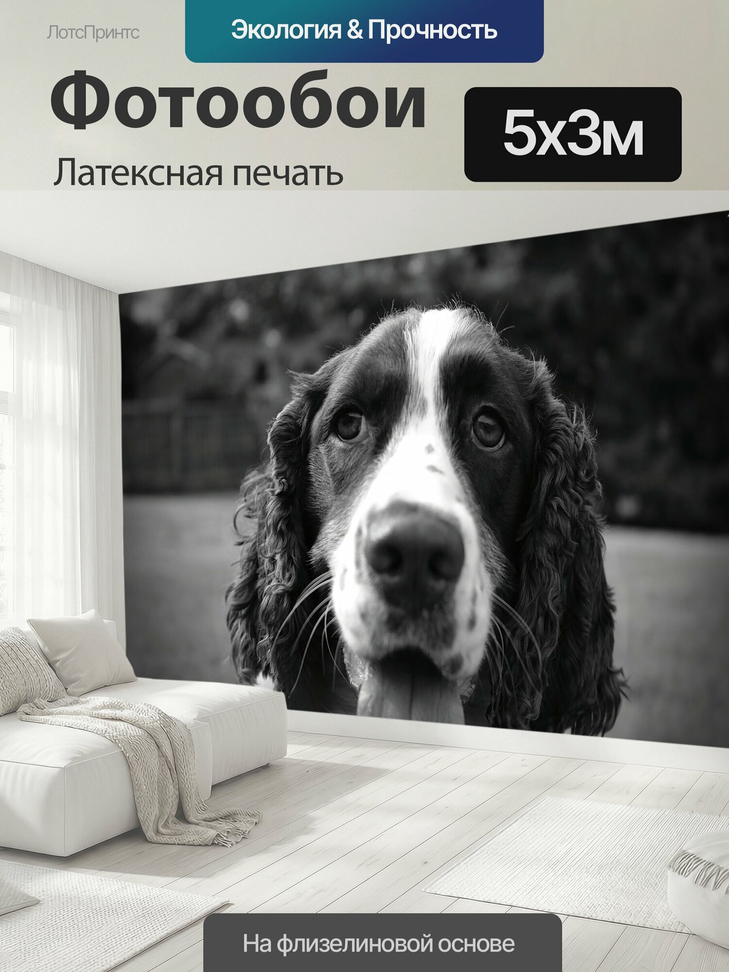 Фотообои моющиеся ударопрочные "Спаниель, английский, собака" 500x300 см. латексная печать