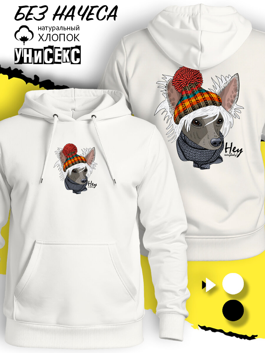 Худи Толстовка свитшот китайская хохлатая собака hey