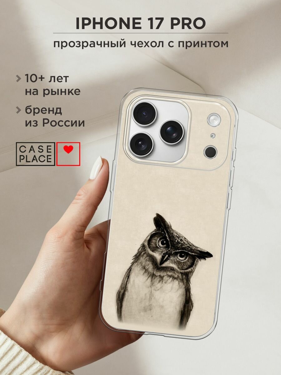 Чехол на Apple iPhone 17 Pro / Айфон 17 Про с принтом "Сова"