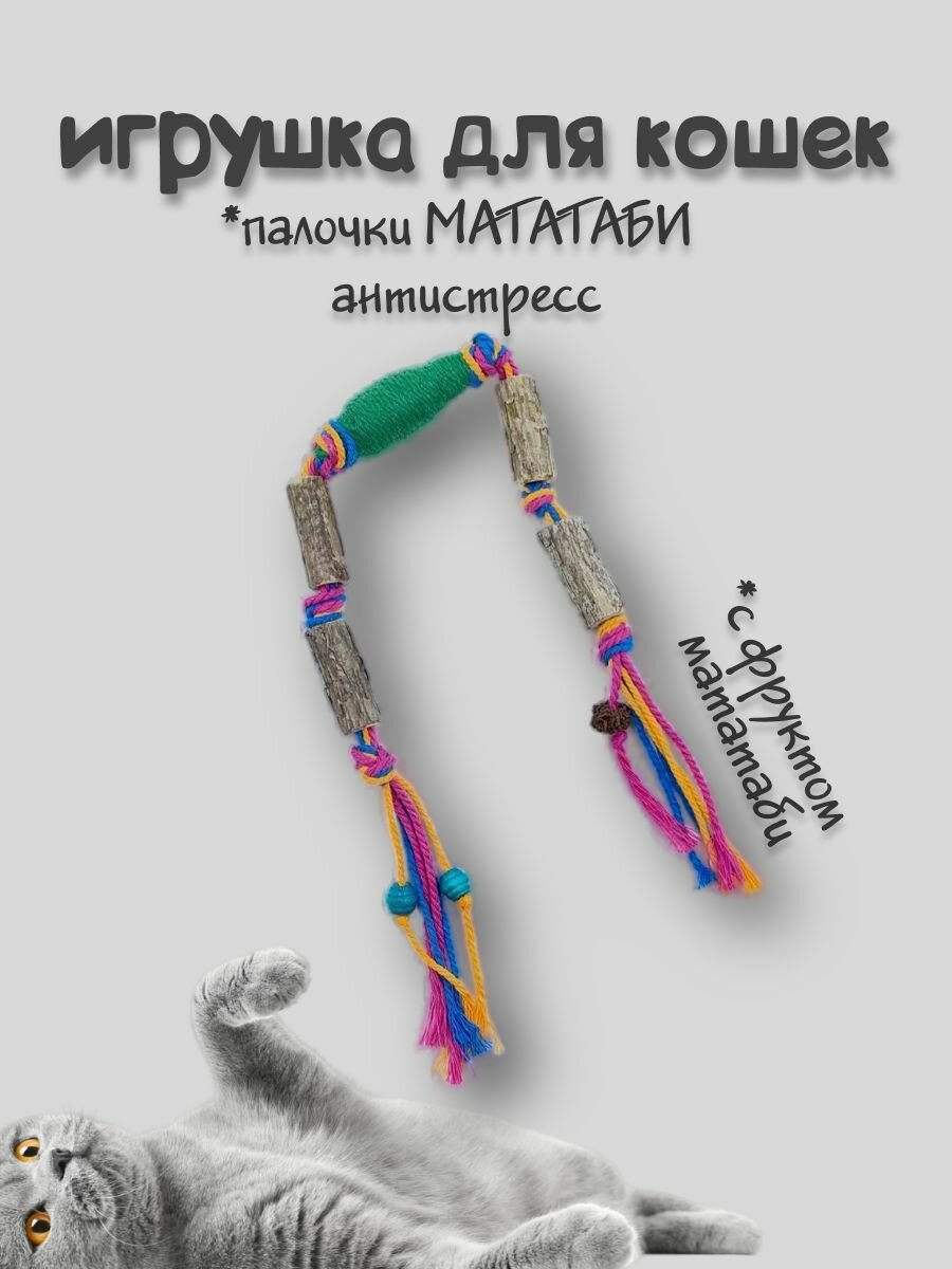 Игрушка для кошек с актинидией и мятой, жевательная веревка и палочка для чистки зубов, для игр и развлечения котят