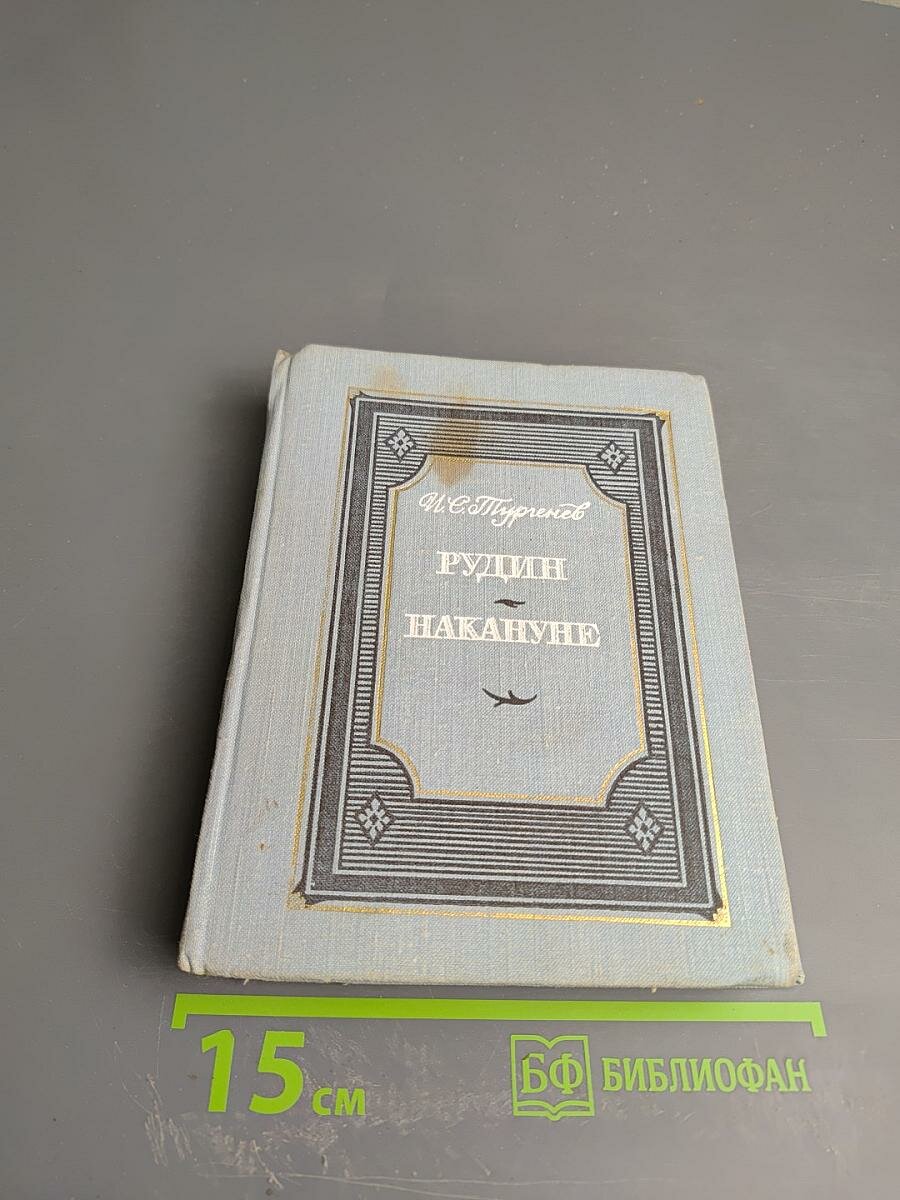 Рудин. Накануне