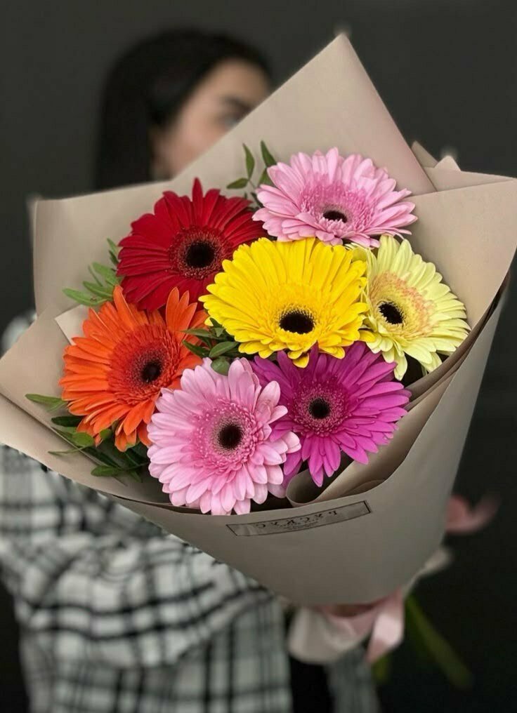 Букет из разноцветных Гербер 7 штук на 1 сентября для учителя