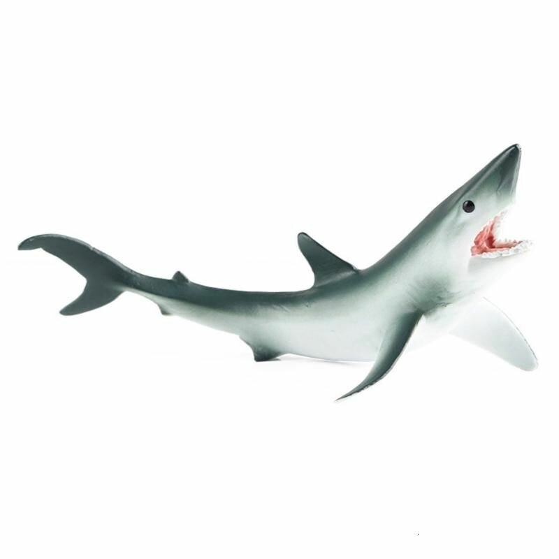 Модели рыб для декора дома и обучения, - 02