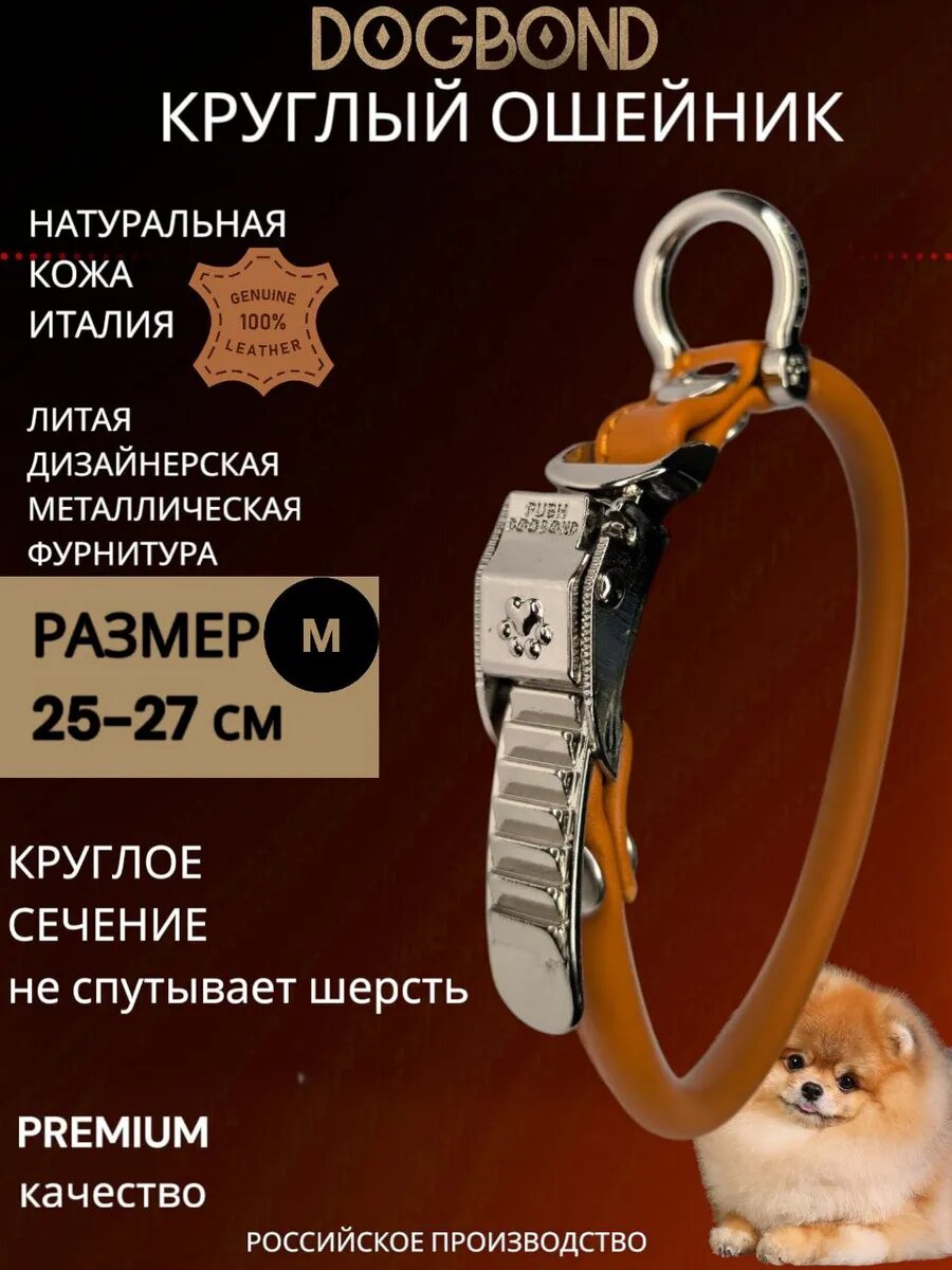 Ошейник Dogbond круглый для шпица