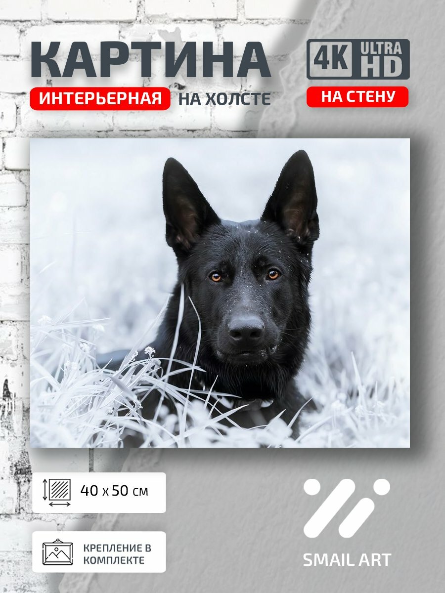 Картина на холсте интерьерная 40 на 50 на стену Иней Mood для кабинета атмосфера интерьер