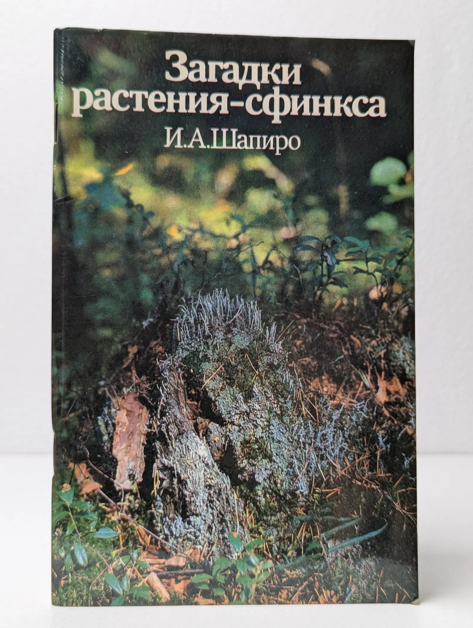 Загадки растения-сфинкса Шапиро Ирина Александровна 1991
