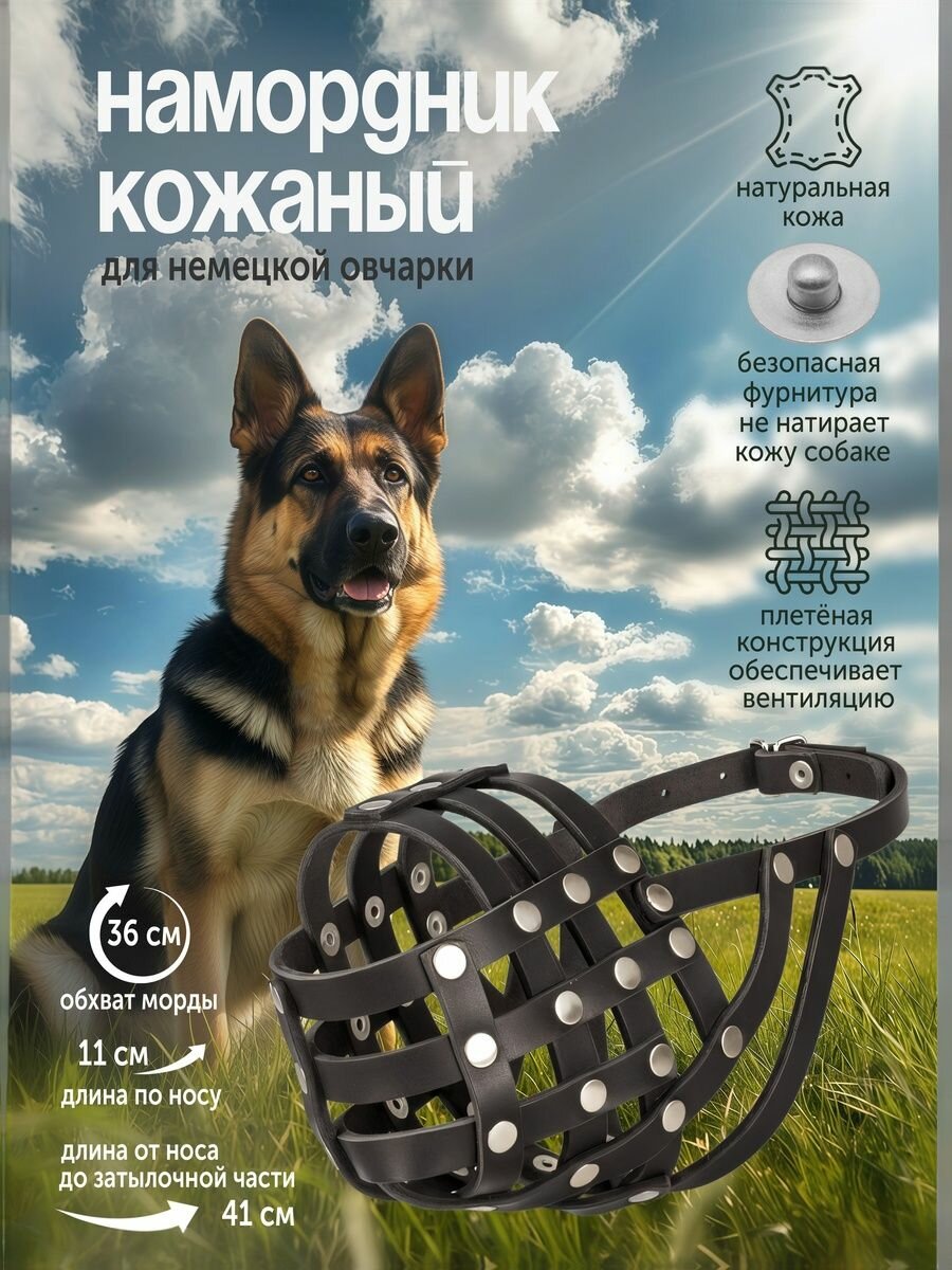 Намордник для немецкой овчарки кожаный ZooMoDa